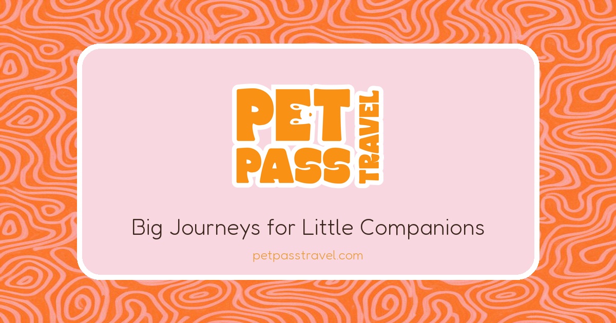 Pet Travel Checklist 2026: Everything You Need Before You Go
